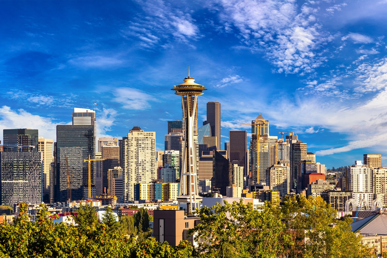 Stackline Relocates and Expands Seattle Footprint to Nearly… | Newmark