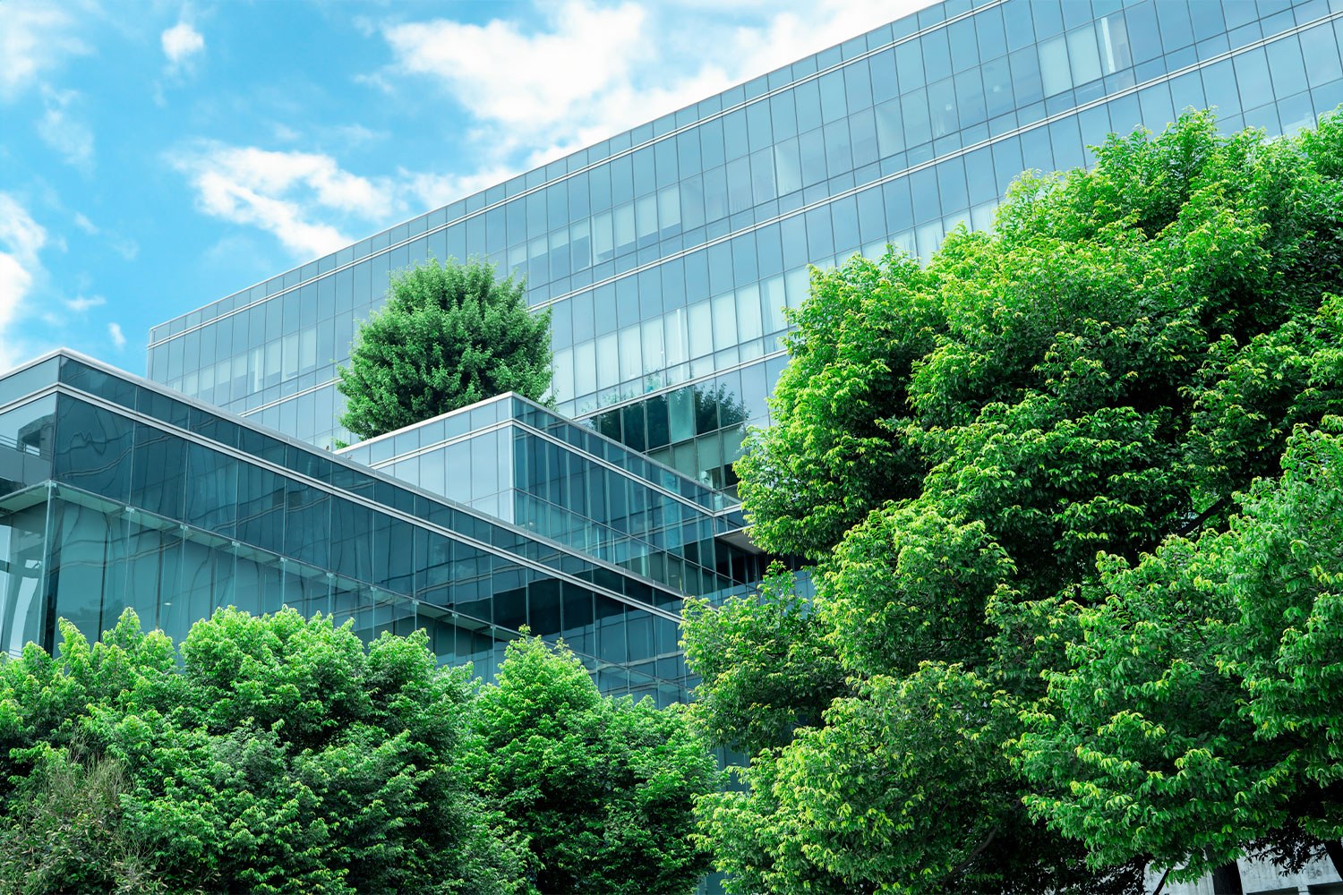 Perspectives | Newmark