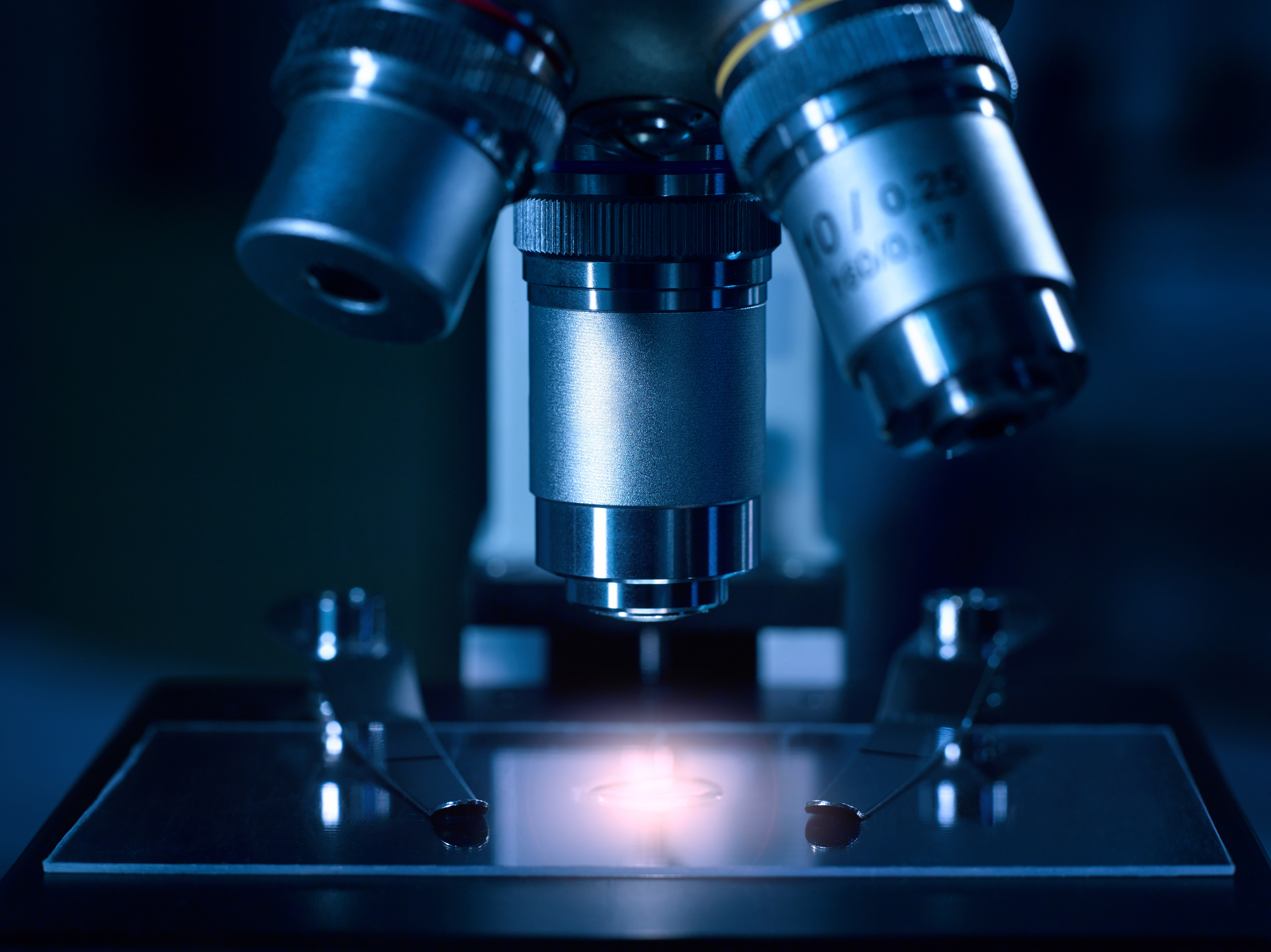 3Q24 National Life Science Market Report | Newmark