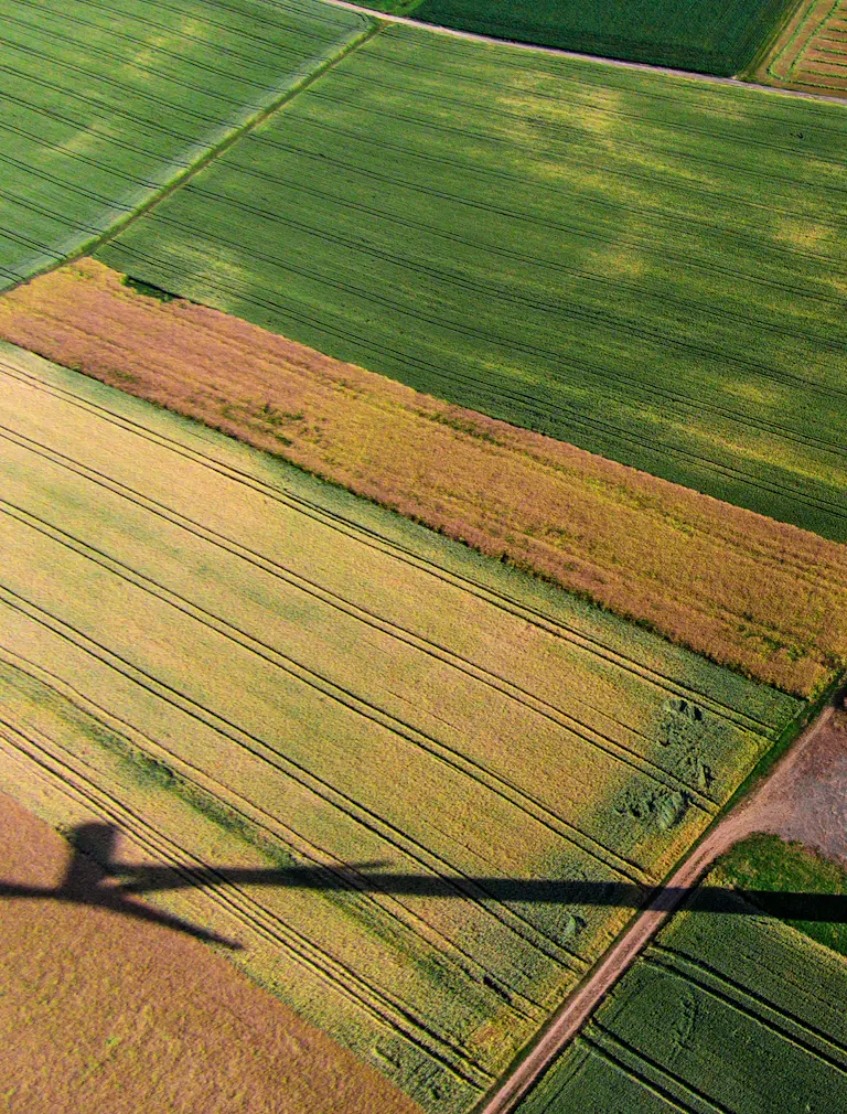 Land | Newmark