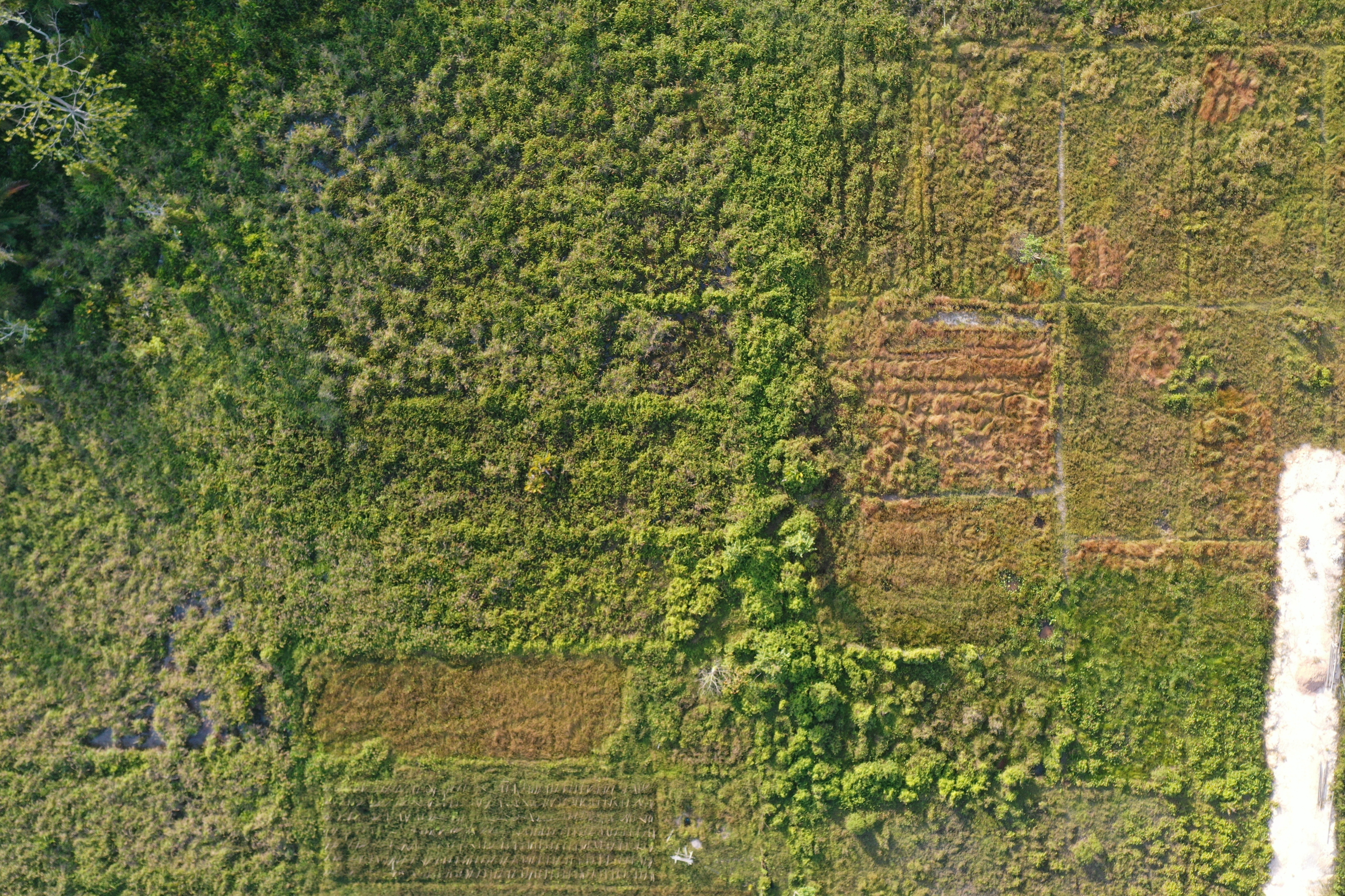 Land | Newmark